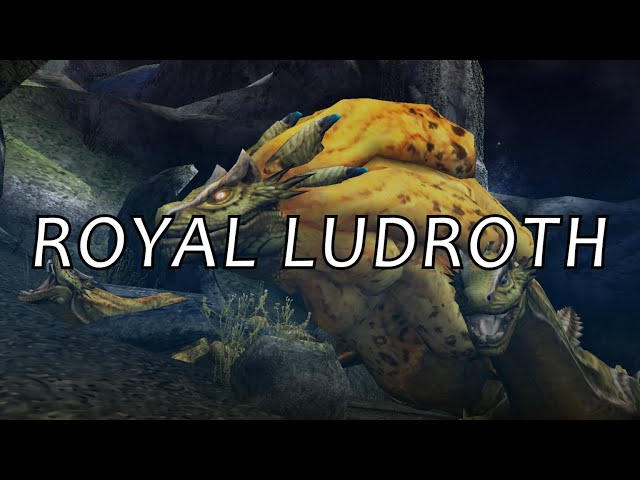 Ludroth Armor