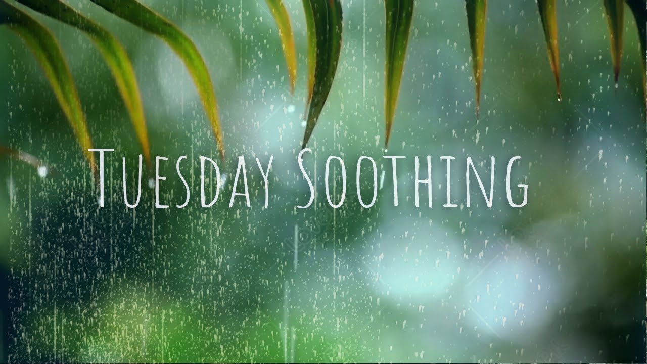 Peaceful Tuesday Soothing: Relaxing Piano Music & Gentle Rain Sounds ...