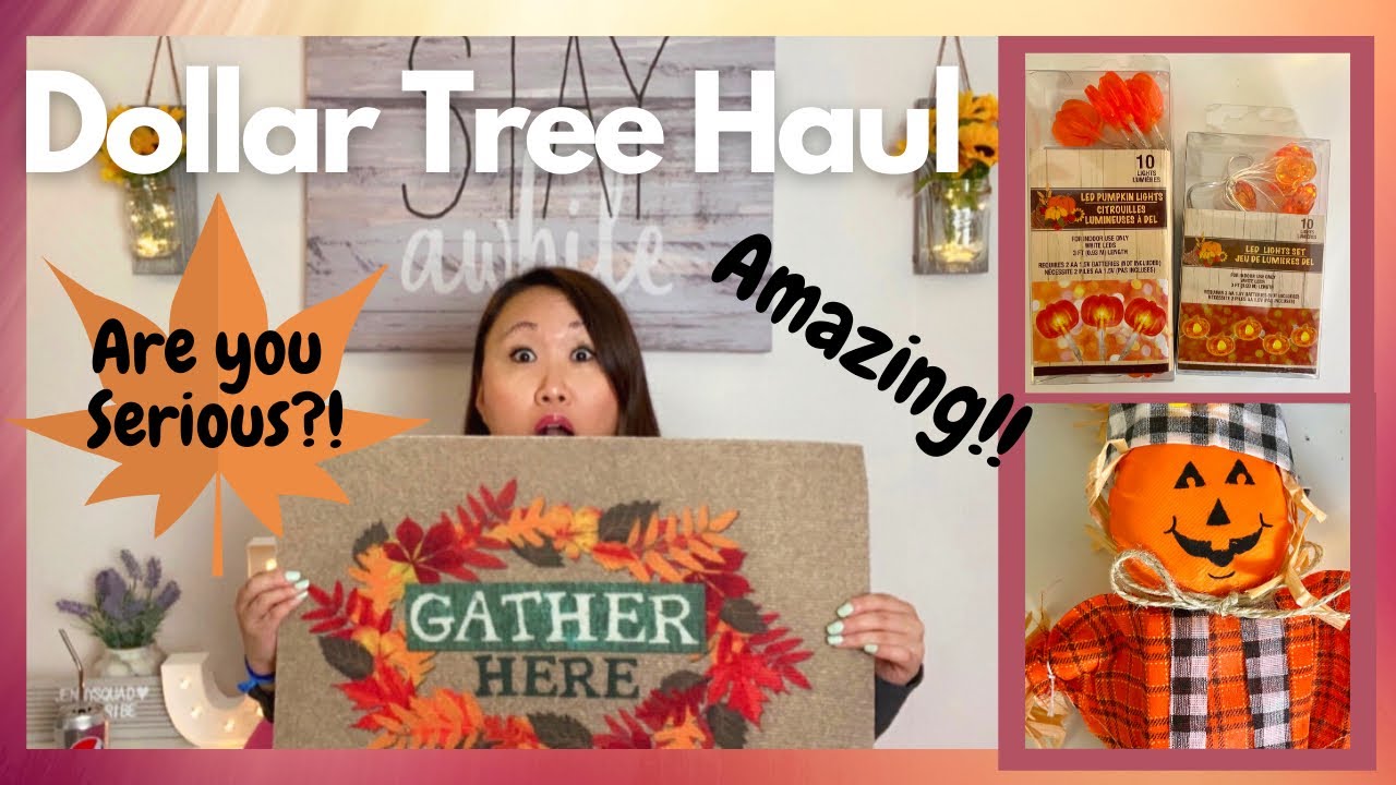 🍁 DOLLAR TREE HAUL | AMAZING NEW FALL DECOR! | AUGUST 2020 - YouTube