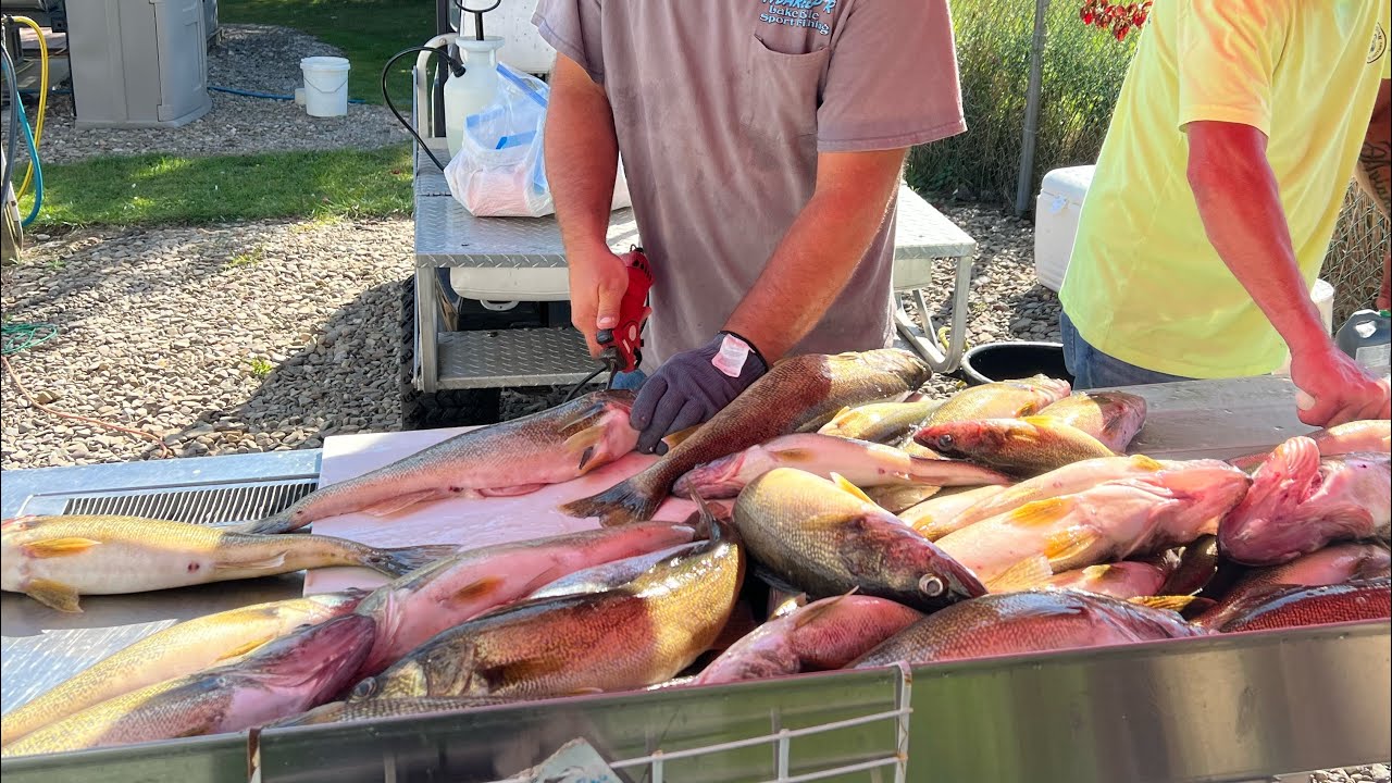 "🐟🔪Fish Cleaning Tutorial with Captain Kris: Master the Art of ...