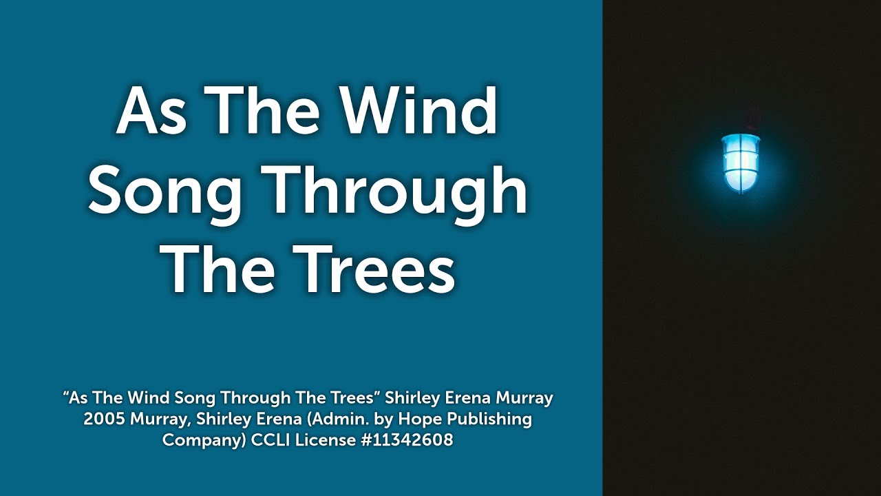 As The Wind Song