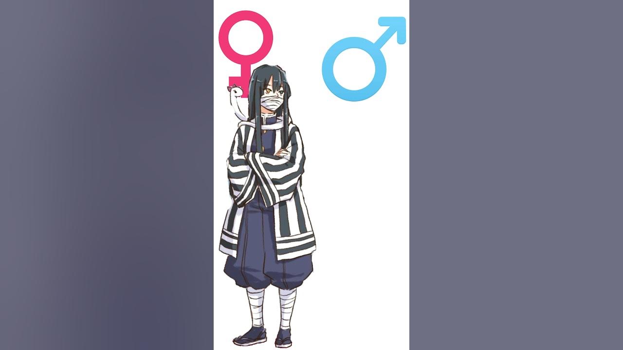 Demon slayer Hashira Gender Swap || Demon slayer Gender Bend edit || # ...