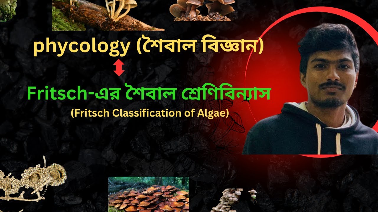 🌿 Fritsch-এর শৈবাল শ্রেণিবিন্যাস (Fritsch Classification of Algae ...