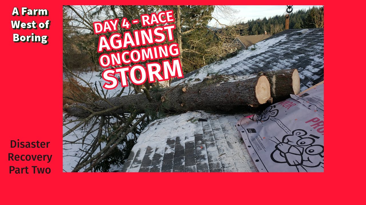 Race Against Time: Day 4 of Tree Removal and Roof Tarp Adventure in the ...