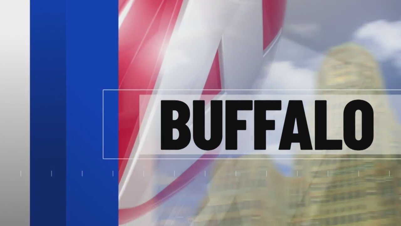 Downtown Buffalo library installs security system - YouTube