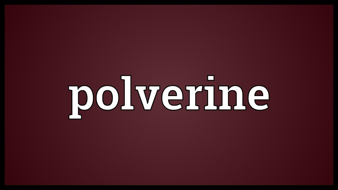 Polverine Meaning - YouTube