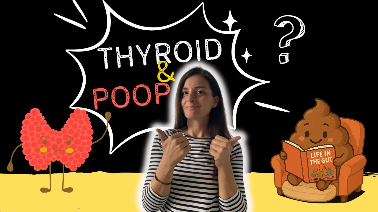 thyroid - YouTube