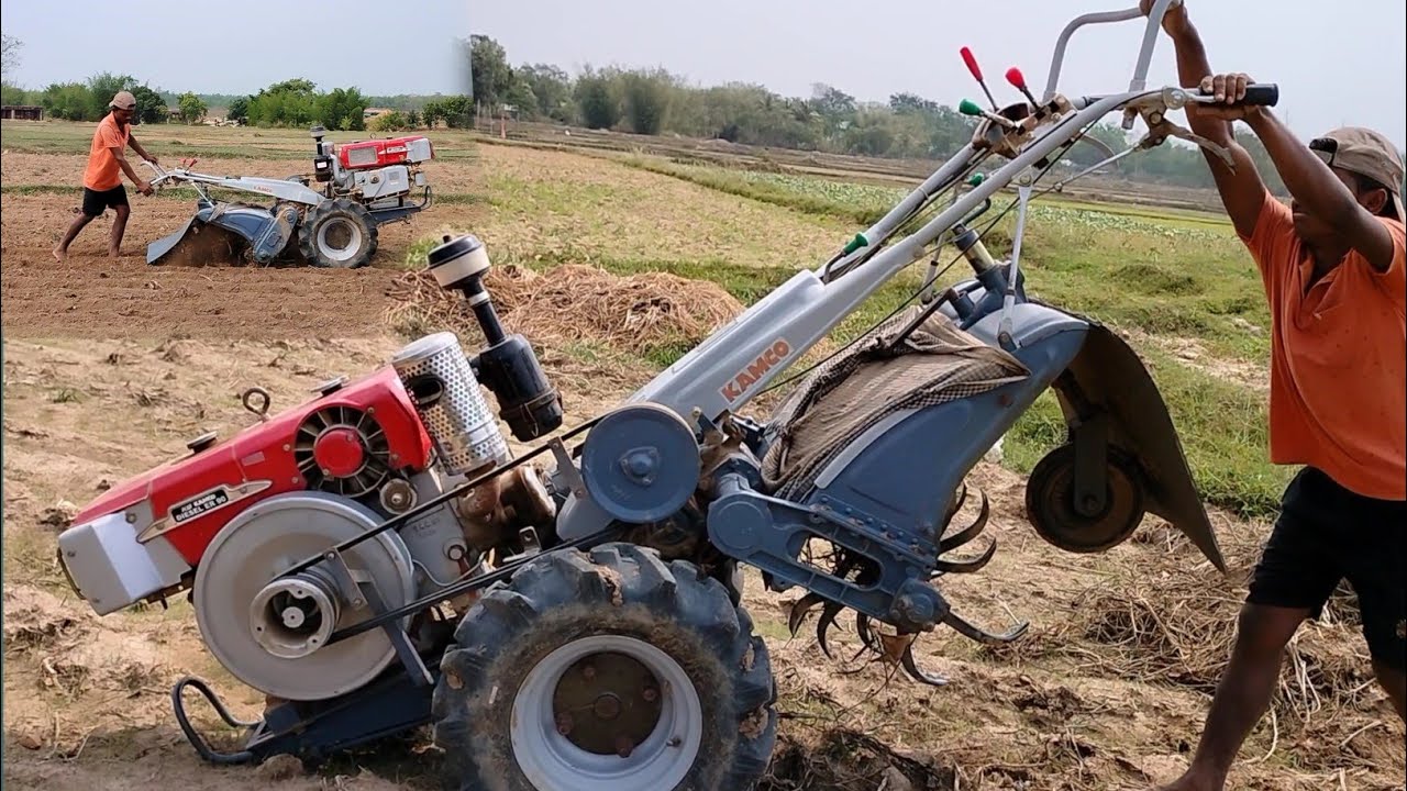 Day-3 || Dhanicha Sowing In My Field For Rainy Season Rice Farming With ...
