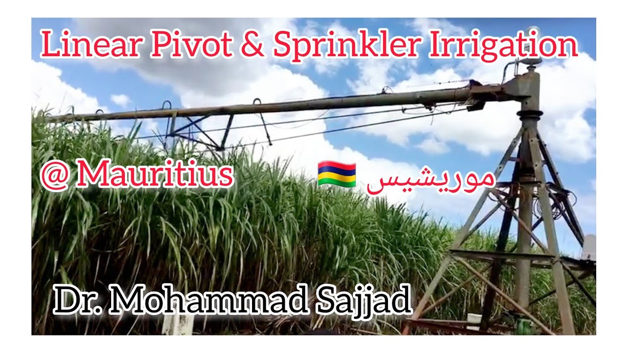 Linear Pivot & Sprinkler Irrigation || Sugarcane & other Crops in ...