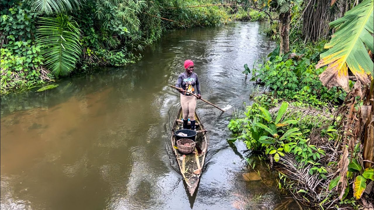 Building a canoe, Fishing and cutting a big tree in search of bugs to ...