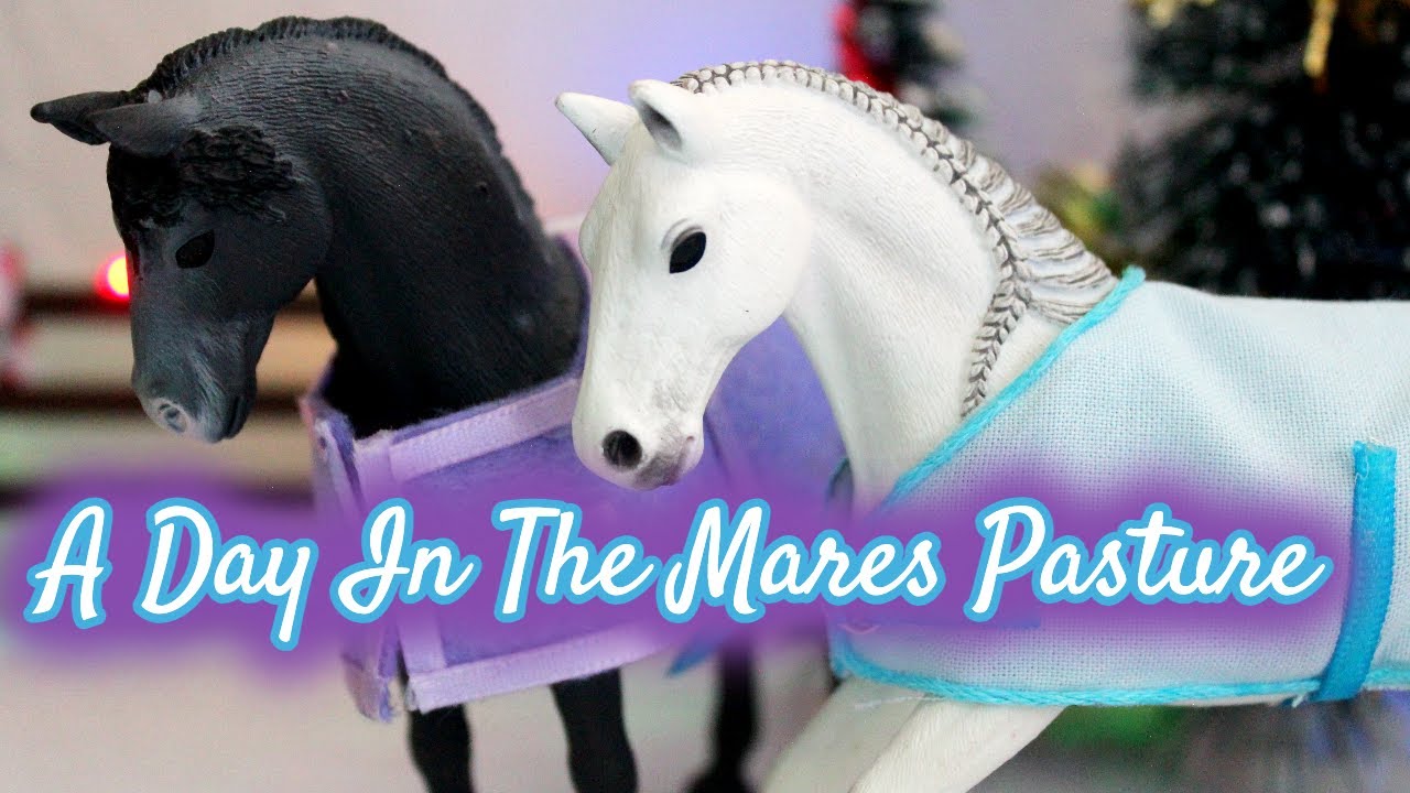 A Day In The Mares Pasture *Schleich Horse Short Film* | Phoenix ...
