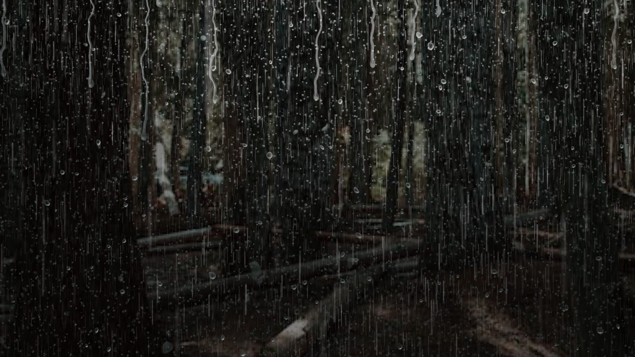 the sound of rain to relieve tiredness from work // sleep in 5 minutes ...