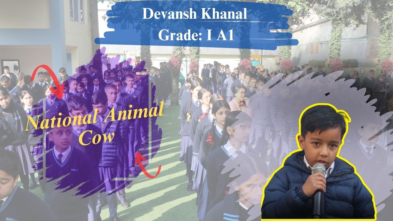 Nepal's National Animal: Devansh Khanal's Insightful Talk on the Cow ...