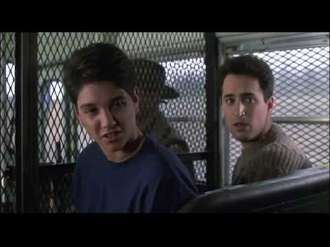 The 20+ Best My Cousin Vinny Quotes