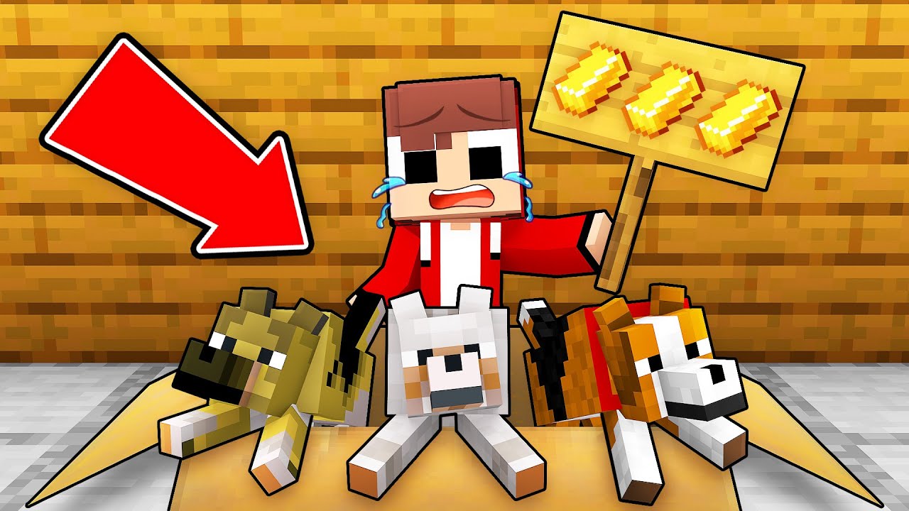 Baby JJ has Adopted Dogs - Sad Story - Maizen Minecraft Animation - YouTube