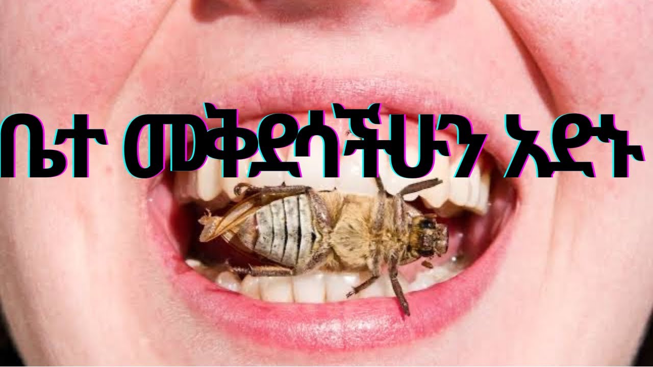 Ethiopia: ቤተ-መቅደሳችሁን አድኑ | how they deceive everyone to eat bugs #በረሮ # ...