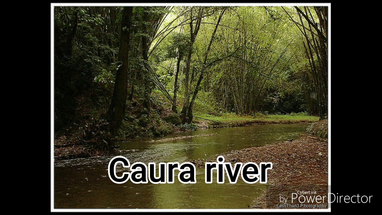 Popular rivers in Trinidad an Tobago - YouTube