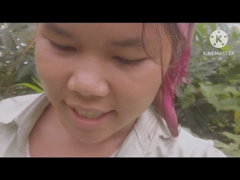 Pringni.nin aba.chi re.angjok angade ## mesu am.na ## Riksilla Sangma vlog video 🥰🥰🥰🥰👍 - YouTube