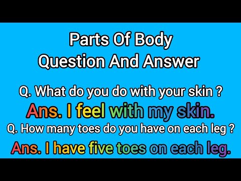 parts of body question and answer/english conversation/english question ...