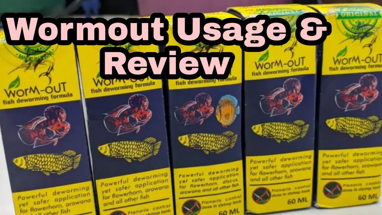 how to use wormout | Deworming medicine | Aquapets & Farm - YouTube