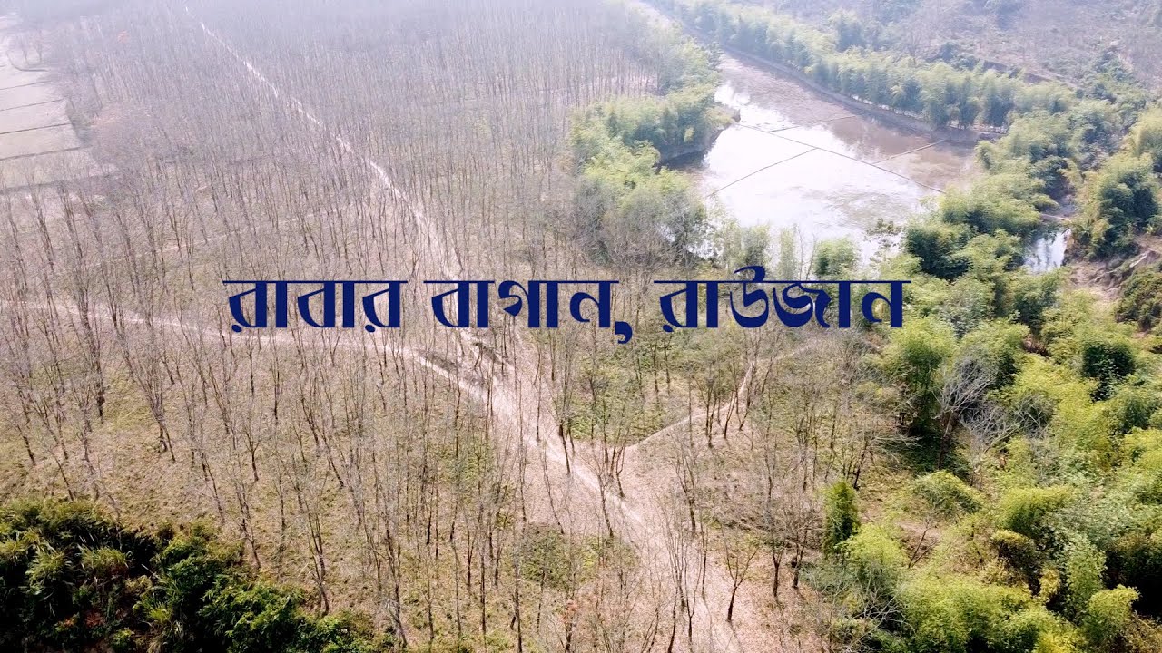 রাউজান | রাবার বাগান | Raojan | Rubber Garden - YouTube