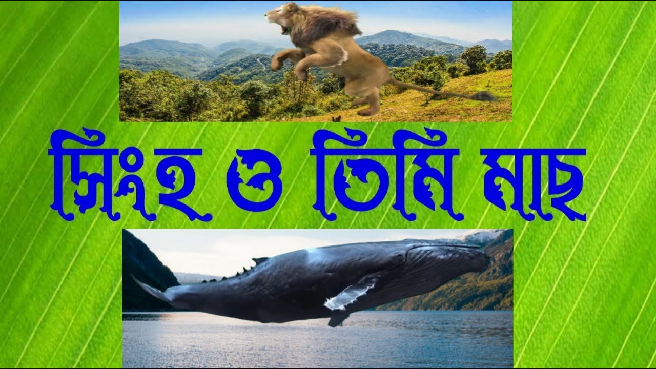 Singha o Timi mach 720p - YouTube