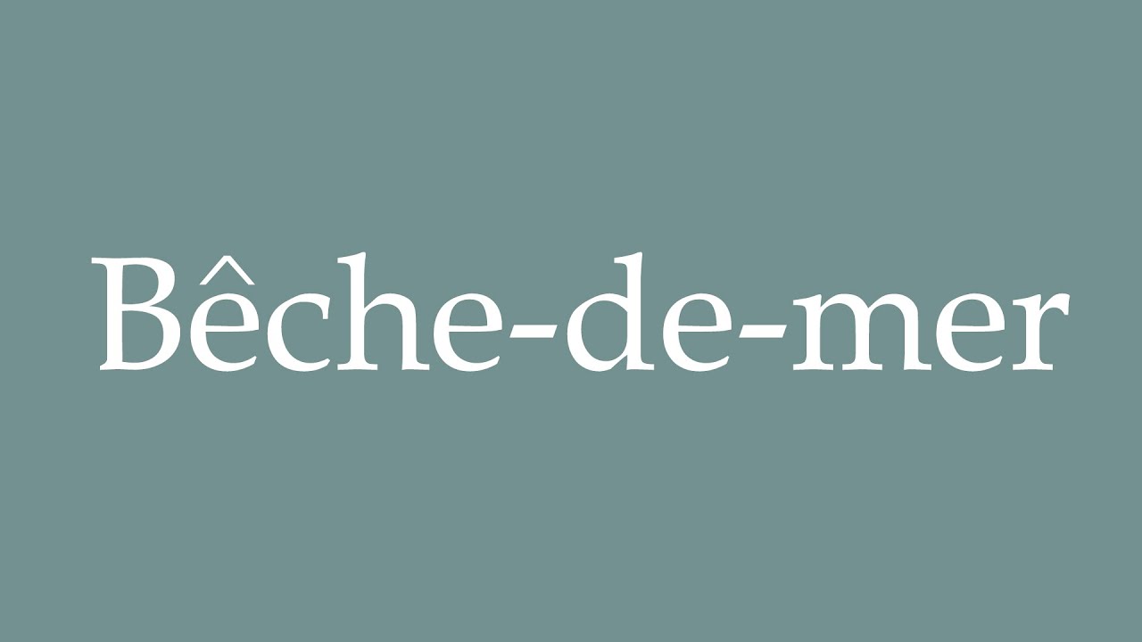 How to Pronounce ''Bêche-de-mer'' (Spade of the sea) Correctly in ...