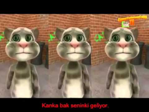 Düğün Dernek - Entarisi Dım Dım Yar Tom Cat Versiyonu