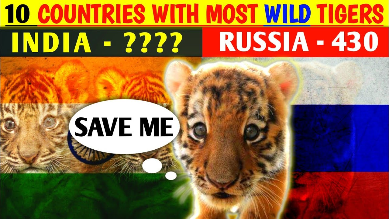Top 10 countries with most wild tigers | Tiger population in the world ...