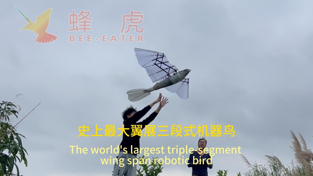 The world's largest triple segment wing span robotic bird - YouTube
