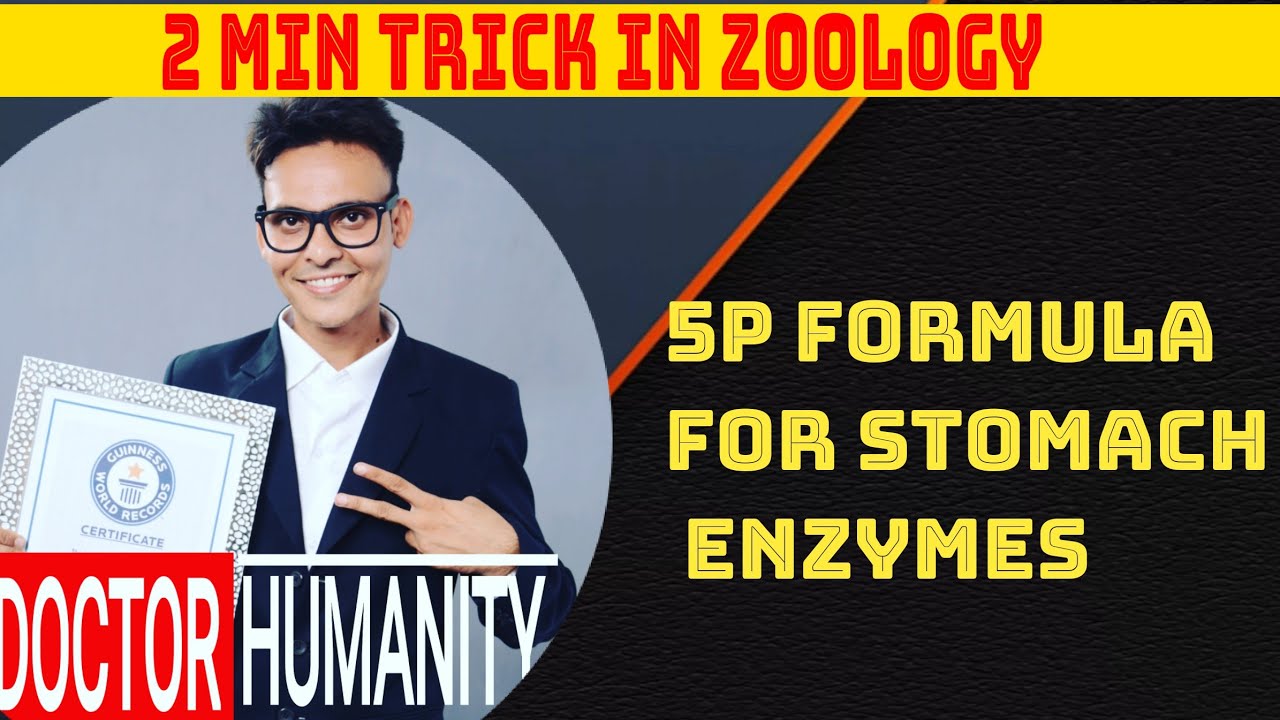5p formula for stomach enzymes 1080p - YouTube