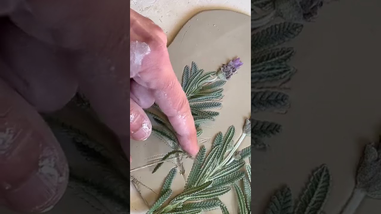 Beautiful lavender flowers pressed into clay #ceramics #shorts # ...