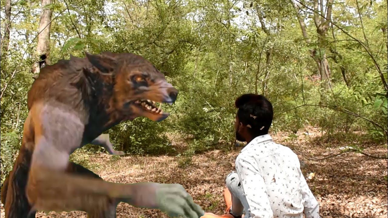 WOLF IN REAL LIFE_FIGHT IN HORROR A SHORT FILM खूंखार भेड़िया🦊🐺 - YouTube