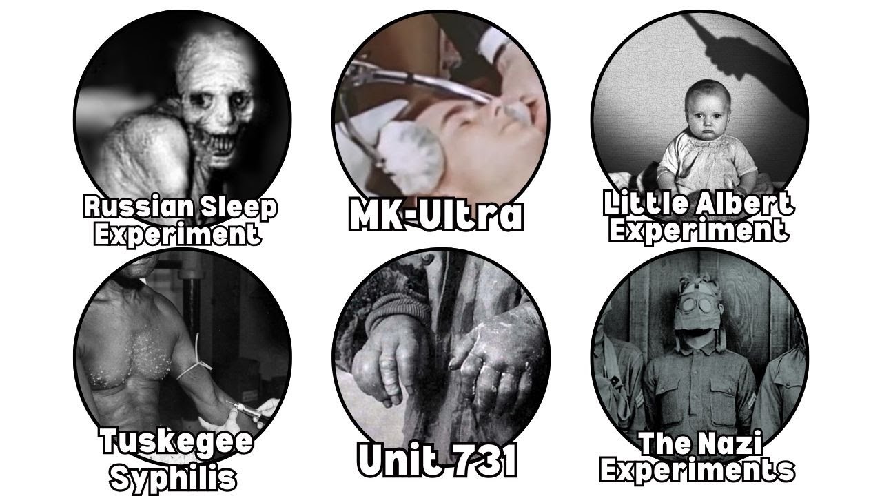 The Most Disturbing Experiments Explained in 11 Minutes - YouTube