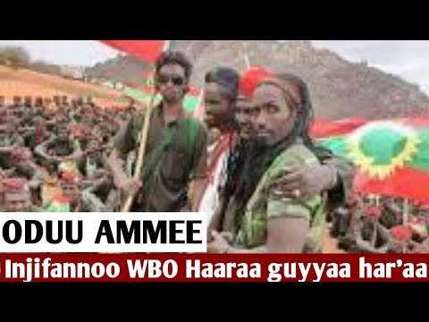 ODUU Hatattamaa haaraa addaa ijoo amma nu geesse kunoo @Ifaalammii ...