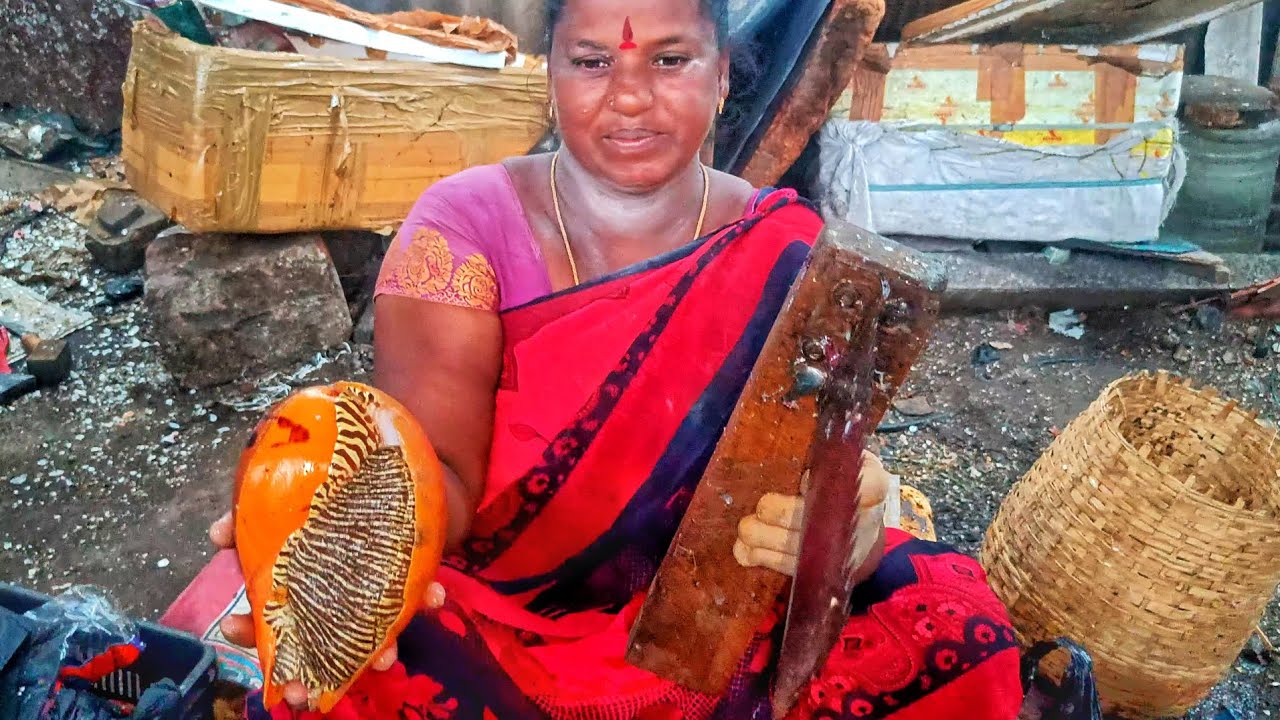 KASIMEDU LADY SANGU FISH CUTTER|| IN KASIMEDU||#selvamfishcutting # ...