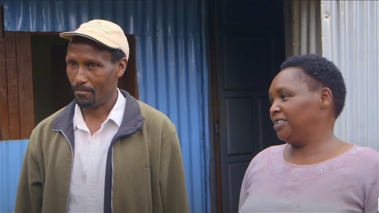 Shamba Shape Up Sn 6 - Ep 3: Seedlings, Fertilisers, Seed Selection ...