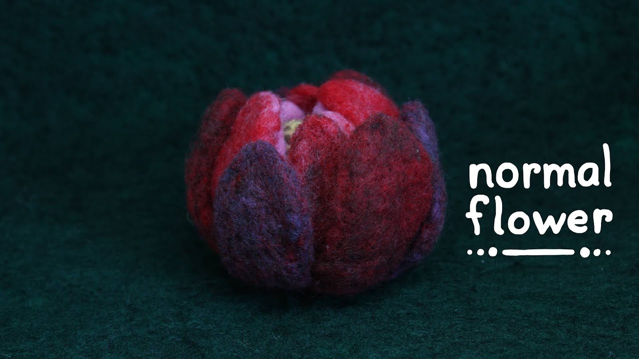 a normal flower - YouTube