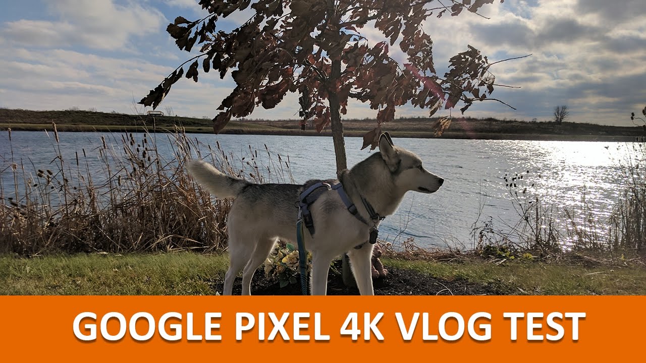 GOOGLE PIXEL AS A 4K VLOGGING CAMERA | Longboarding and low light walk ...