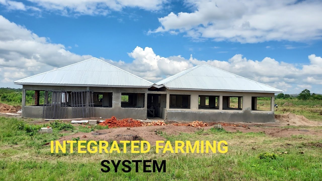 How To Generate More Profits From A mixed Farm! - YouTube