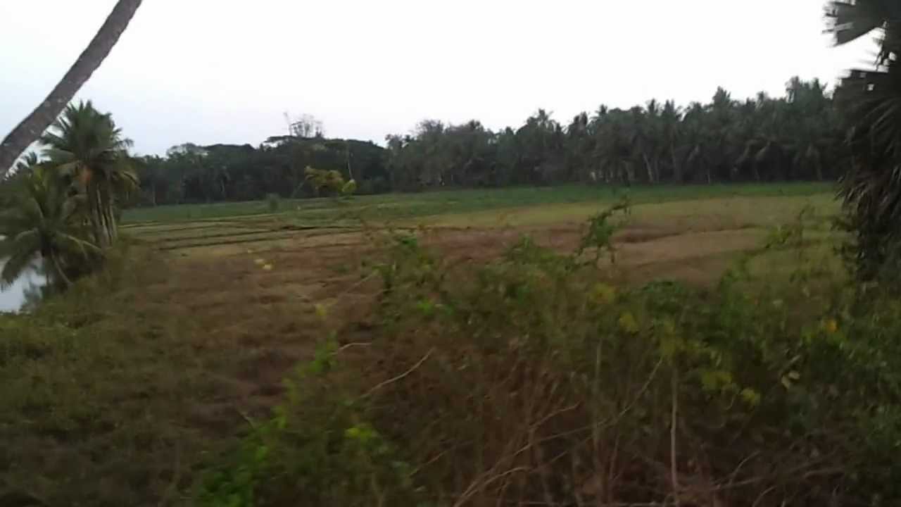 Pangala River Front property. - YouTube
