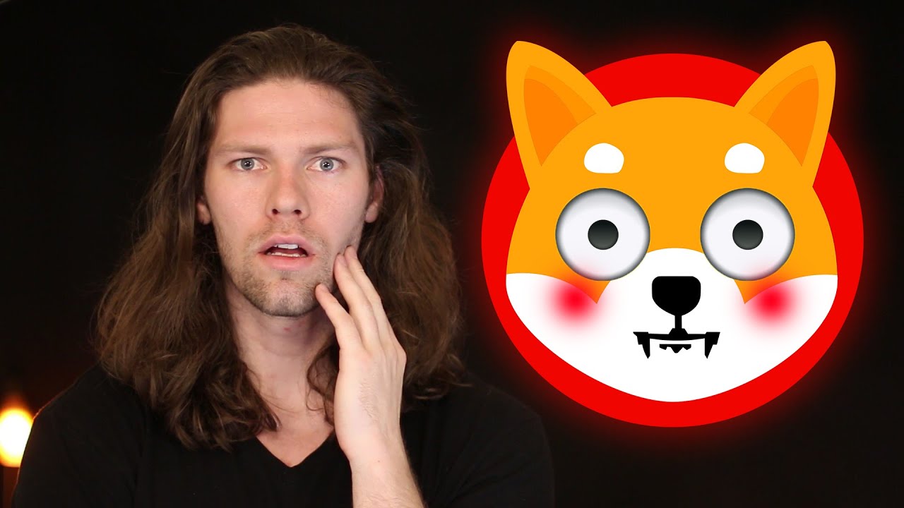 Shiba JUST Did the Impossible - YouTube