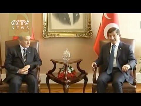 Erdogan mandates Turkish PM Davutoglu form interim government