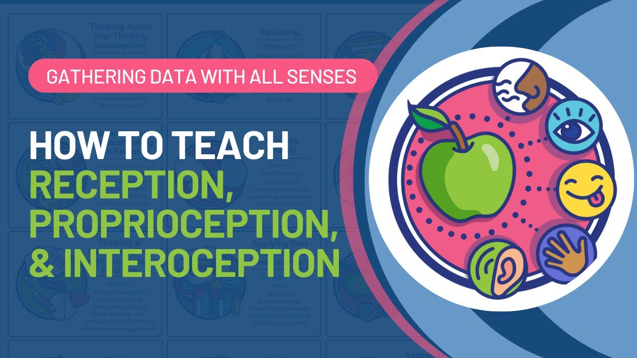 How to Teach Reception, Proprioception, and Interoception - YouTube