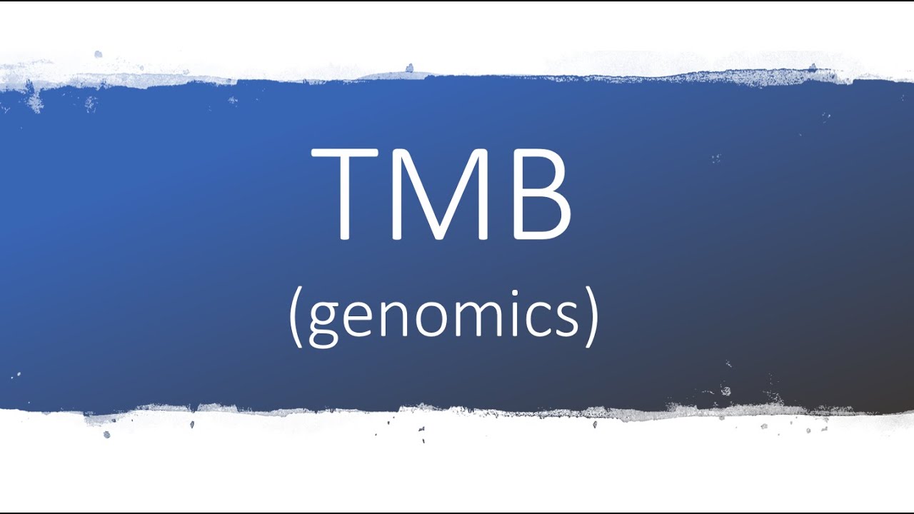 What is TMB - YouTube