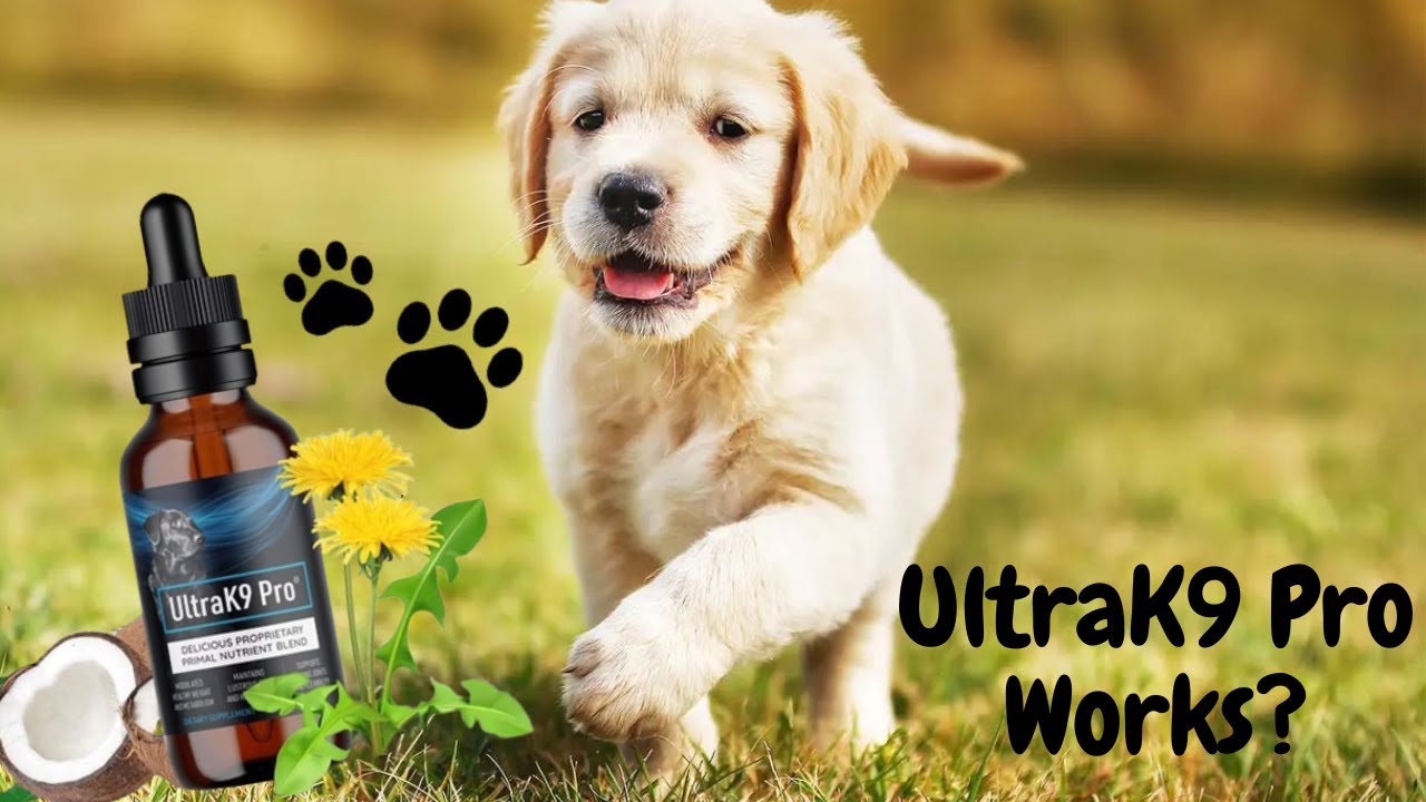 ULTRAK9 PRO Works? - ULTRAK9 PRO Reviews - ULTRAK9 Pro Dogs - YouTube