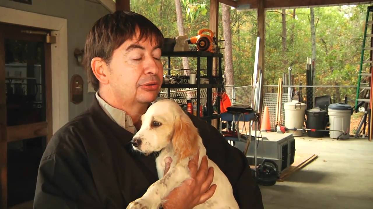 Gun Dog Broker: In The Field with Mark Fulmer with Sarahsetter Kennels ...