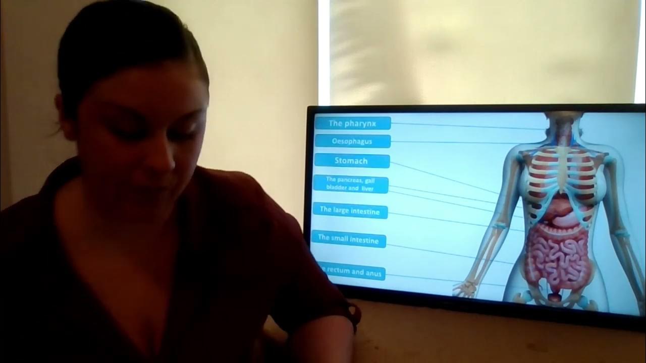 Unit 9: Human Nutrition and the Digestive system presentation - YouTube