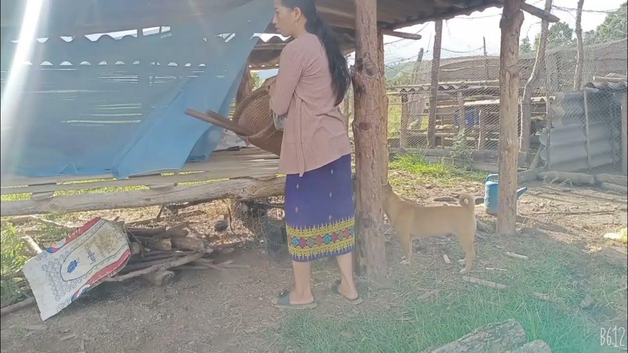 Hmoob toj siab da dej - YouTube