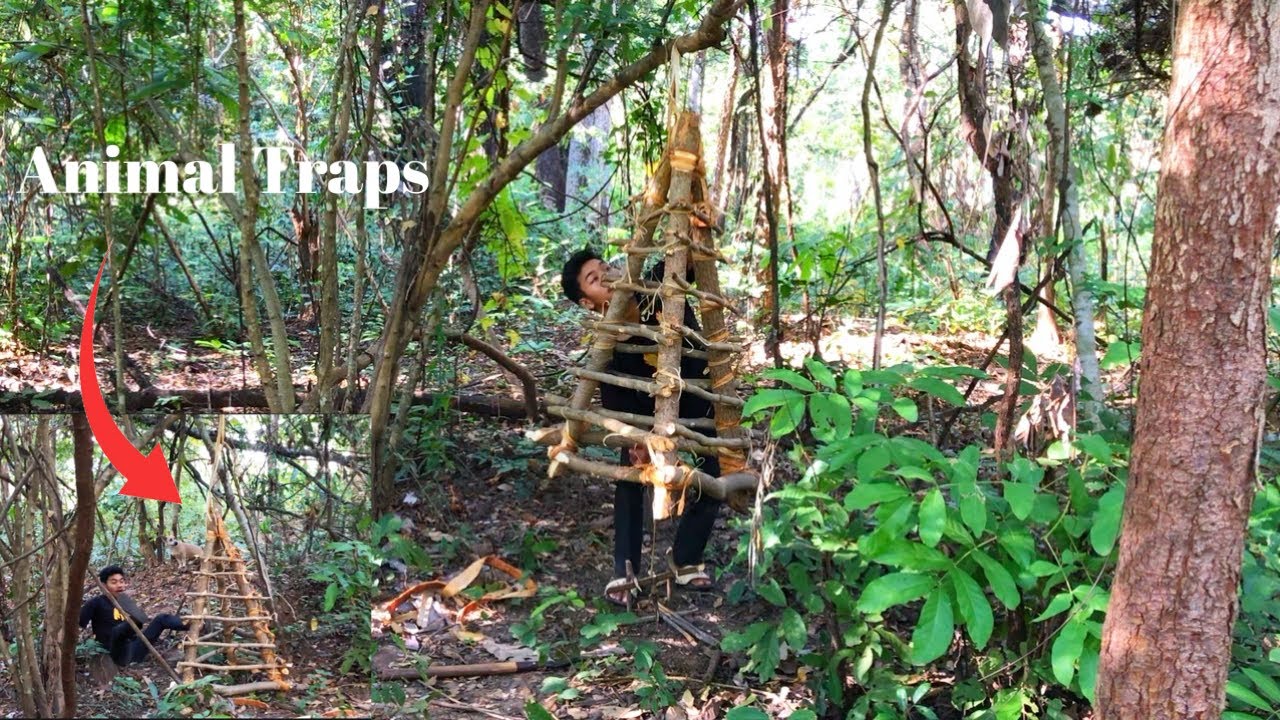 How to Build Animal Traps In The Forest And SURVIVAL- SHELTER ...